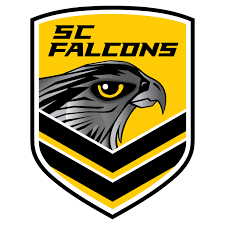 Sunshine Coast Process Serving – ServeNow